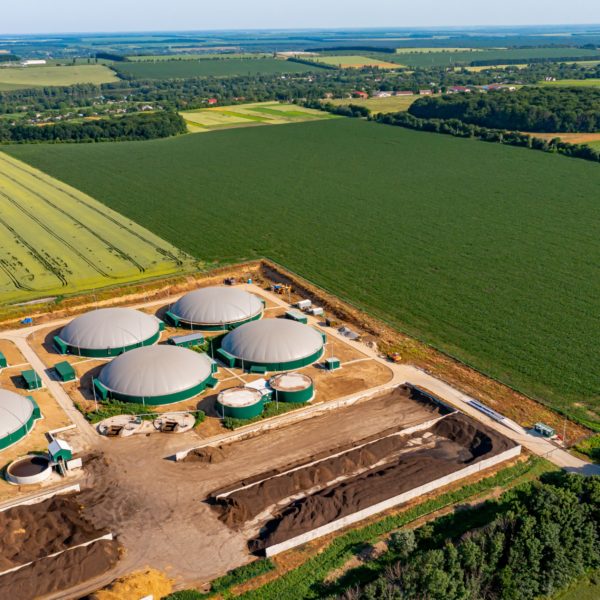 Top biogas producers in the UK: who leads the renewable transition ...